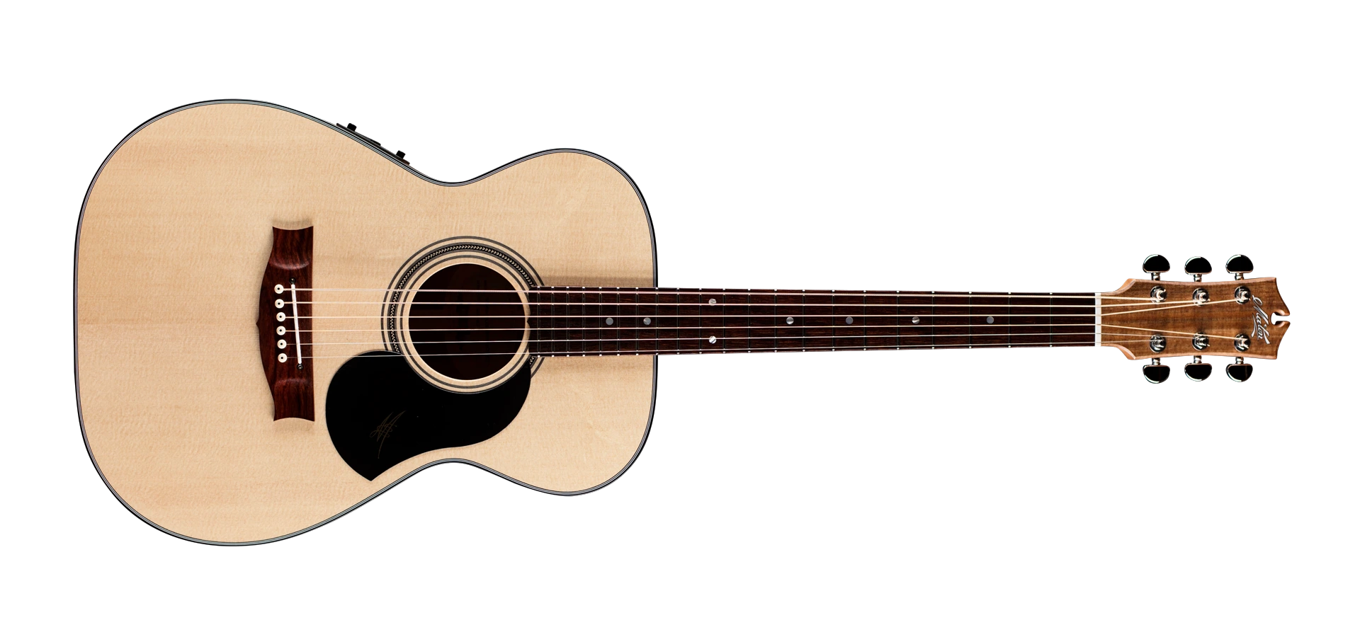 EBG808 Artist - Maton Guitars - Power & Punch